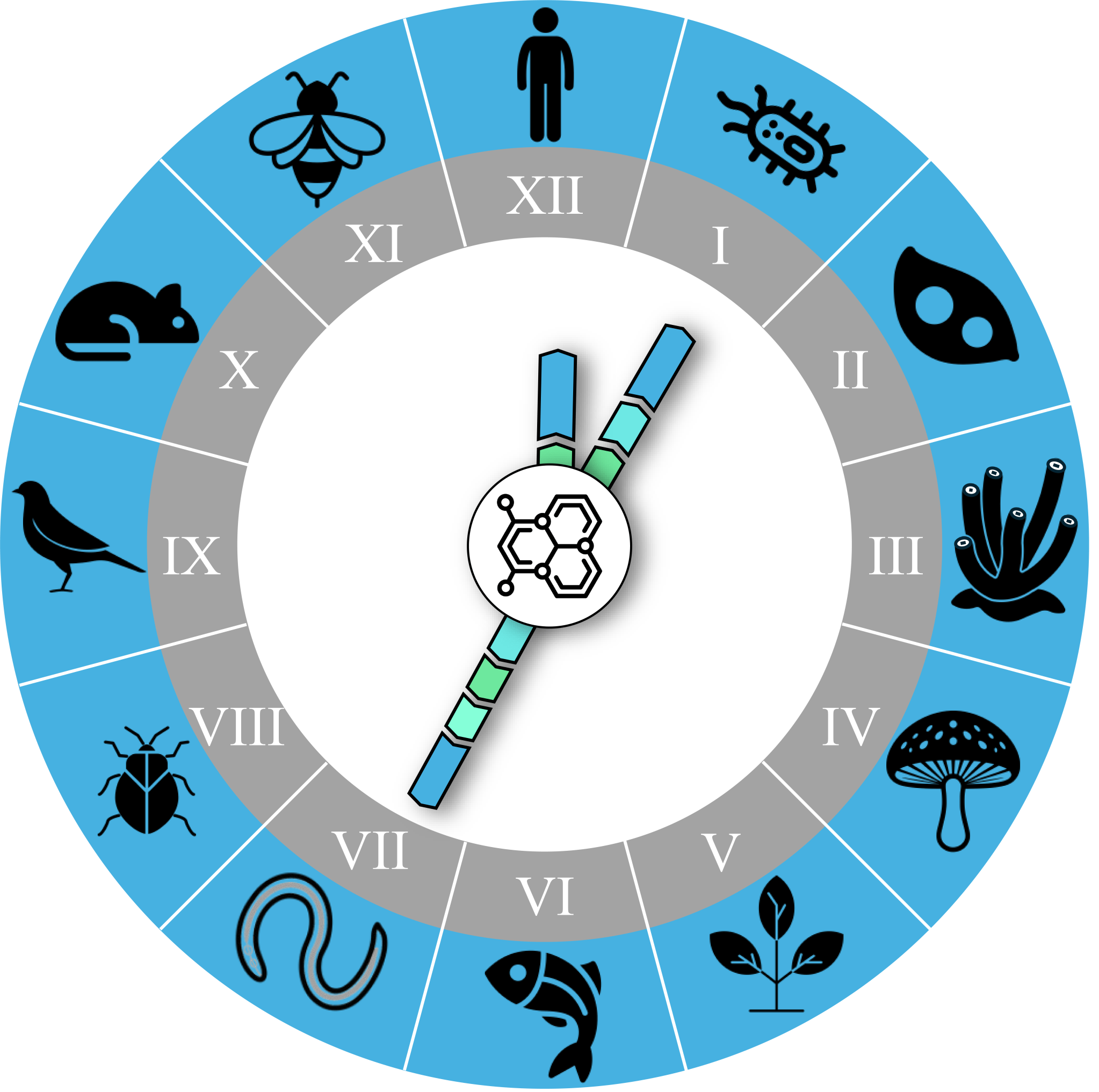 SyM Lab – Synthetic Biology & Microbiology