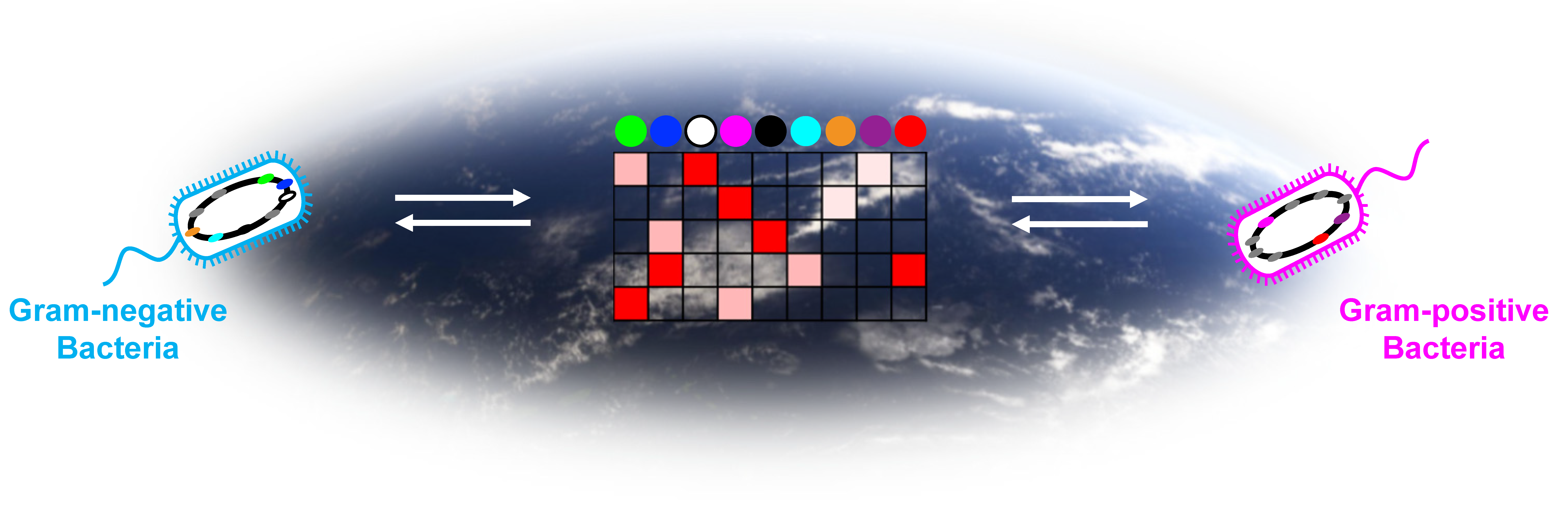 Research – SyM Lab